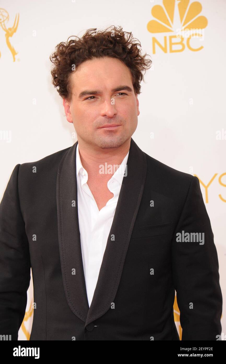 Johnny Galecki arrives to the 66th Annual Primetime Emmy Awards, held ...