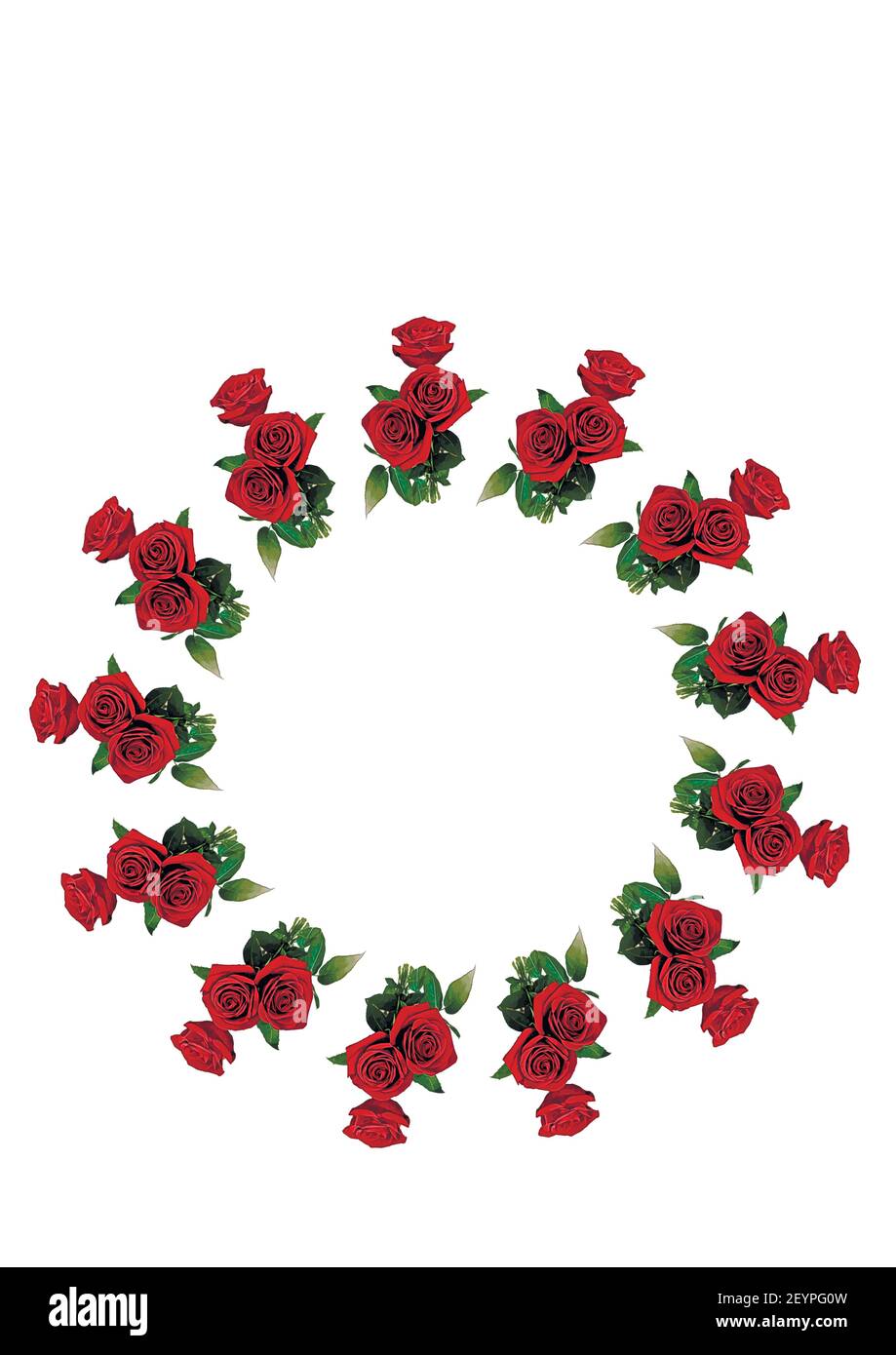 Frames - a bouquet of three red roses. Flowers on the white background ...