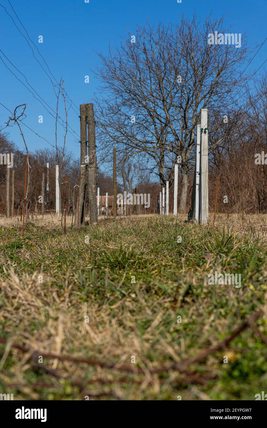 New begning hi-res stock photography and images - Alamy