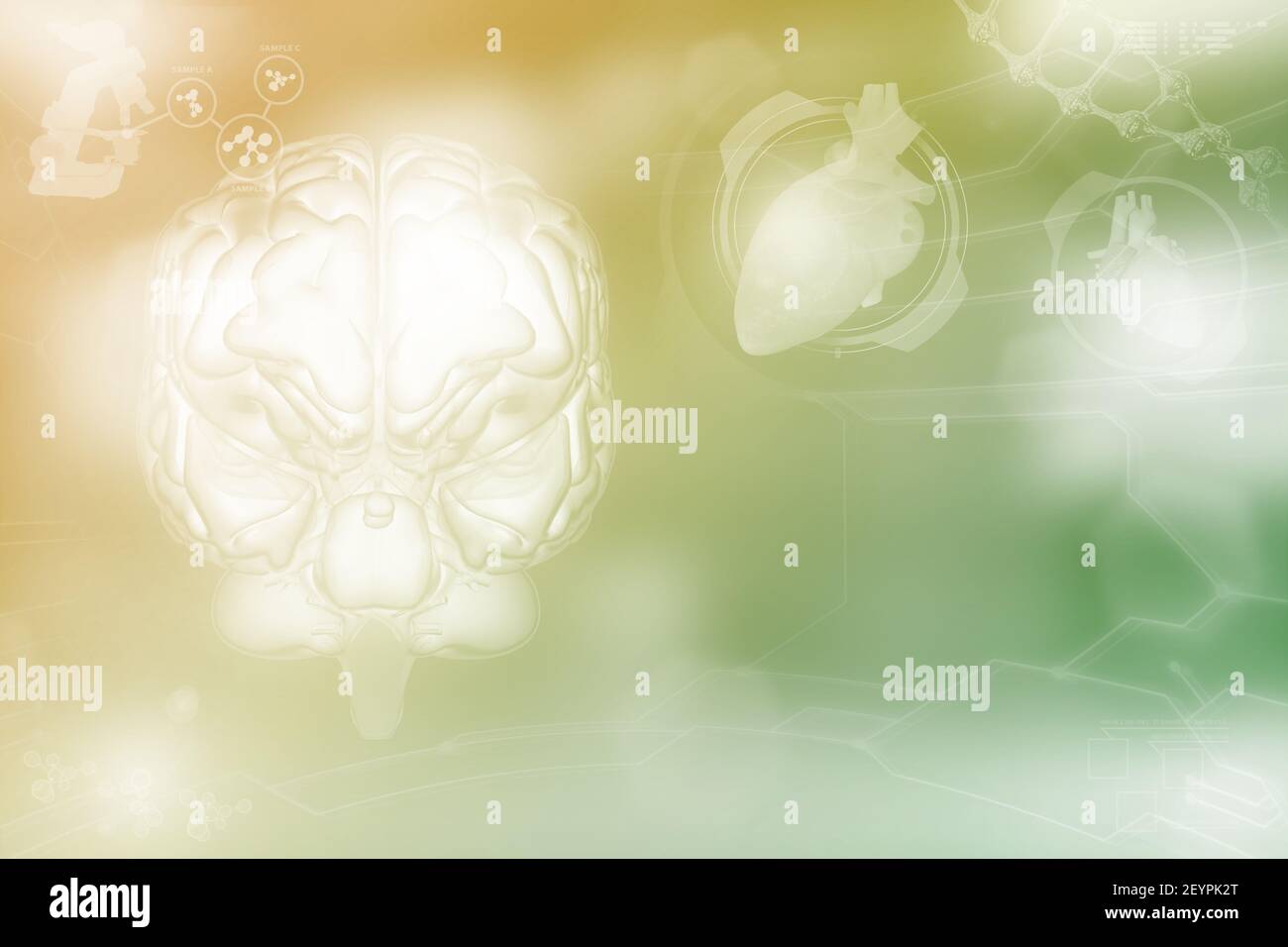 Human brain, nerve work concept - very detailed electronic texture or ...