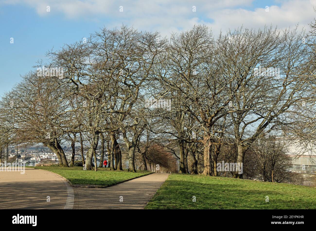 Friends of devonport park hi-res stock photography and images - Alamy