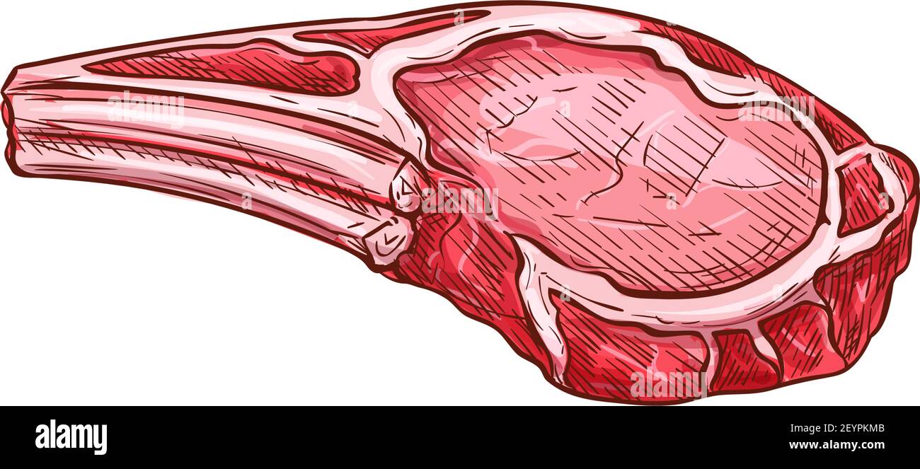 Rib chop sketch icon, meat on rib bone vector. Beef piece or pork steak ...