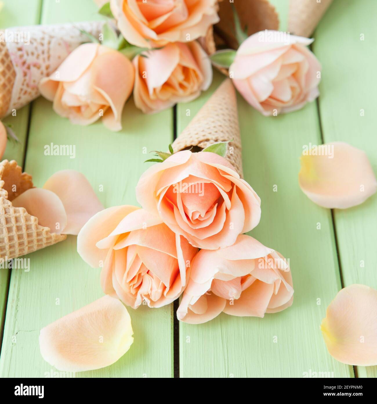Fresh roses in ice cream cones Stock Photo - Alamy