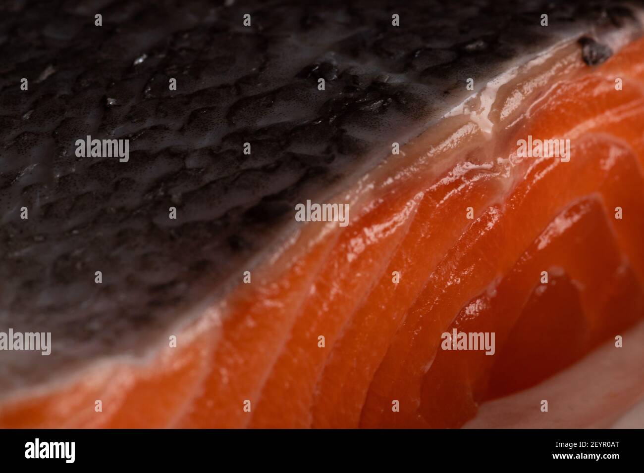 Fish skin texture detail hi-res stock photography and images - Alamy