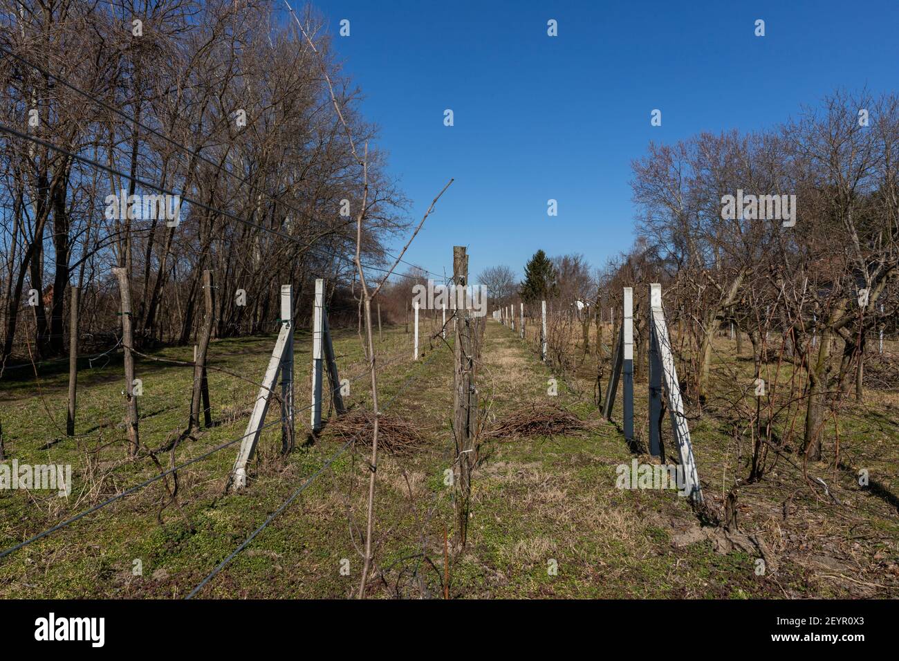 New begning hi-res stock photography and images - Alamy