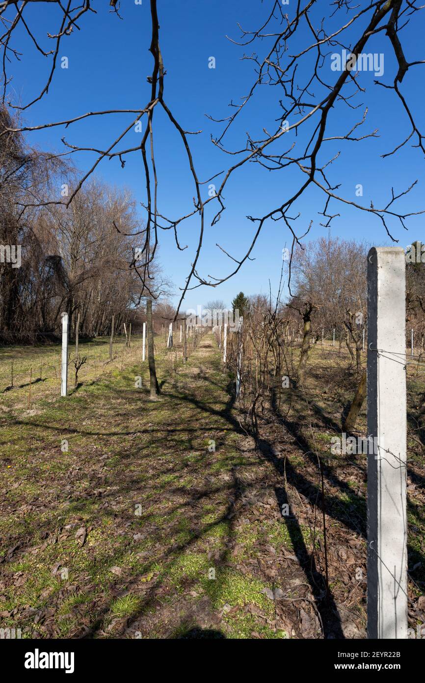 New begning hi-res stock photography and images - Alamy