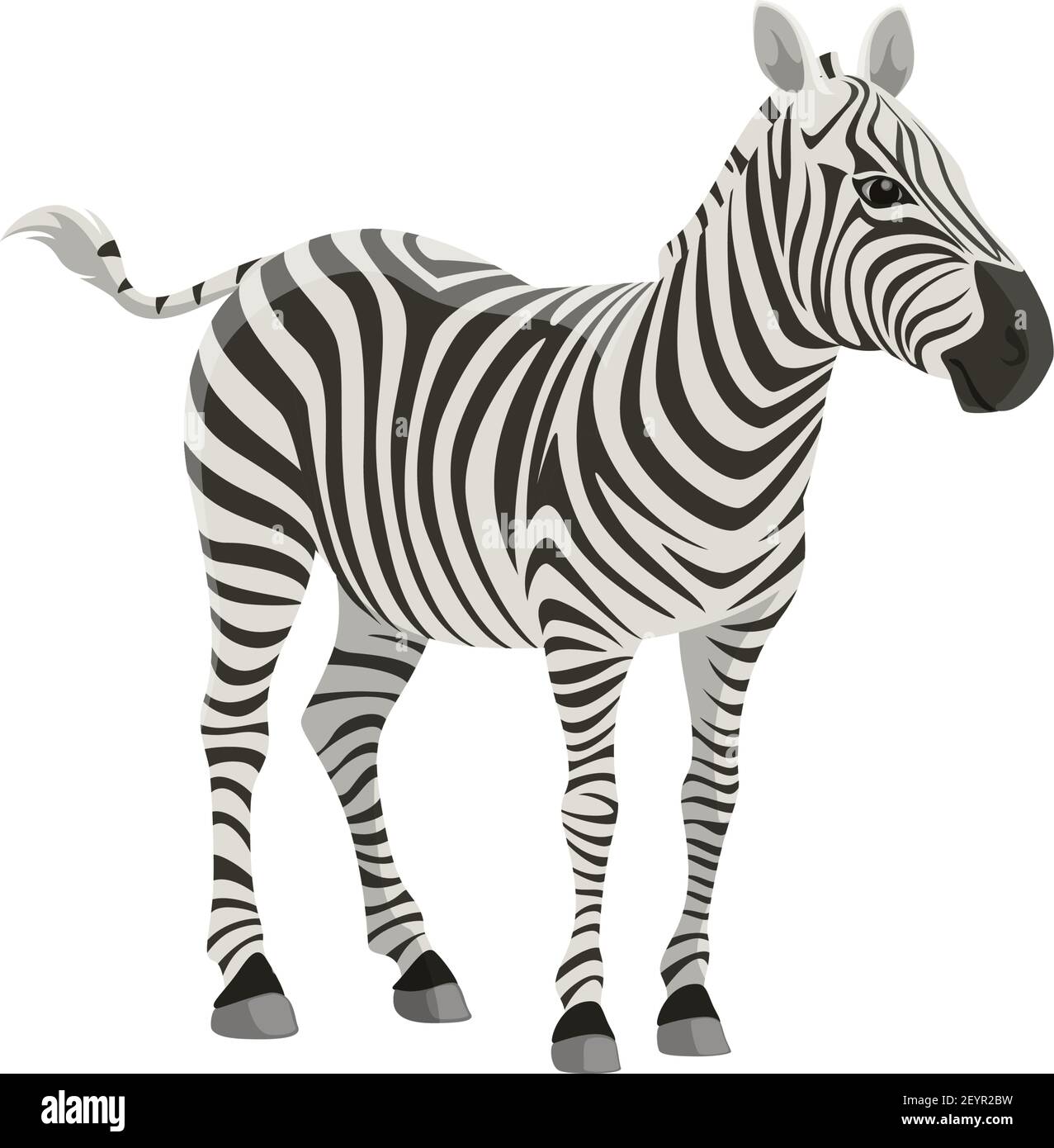Zebra wild animal vector isolated icon. African safari zoo and savanna ...