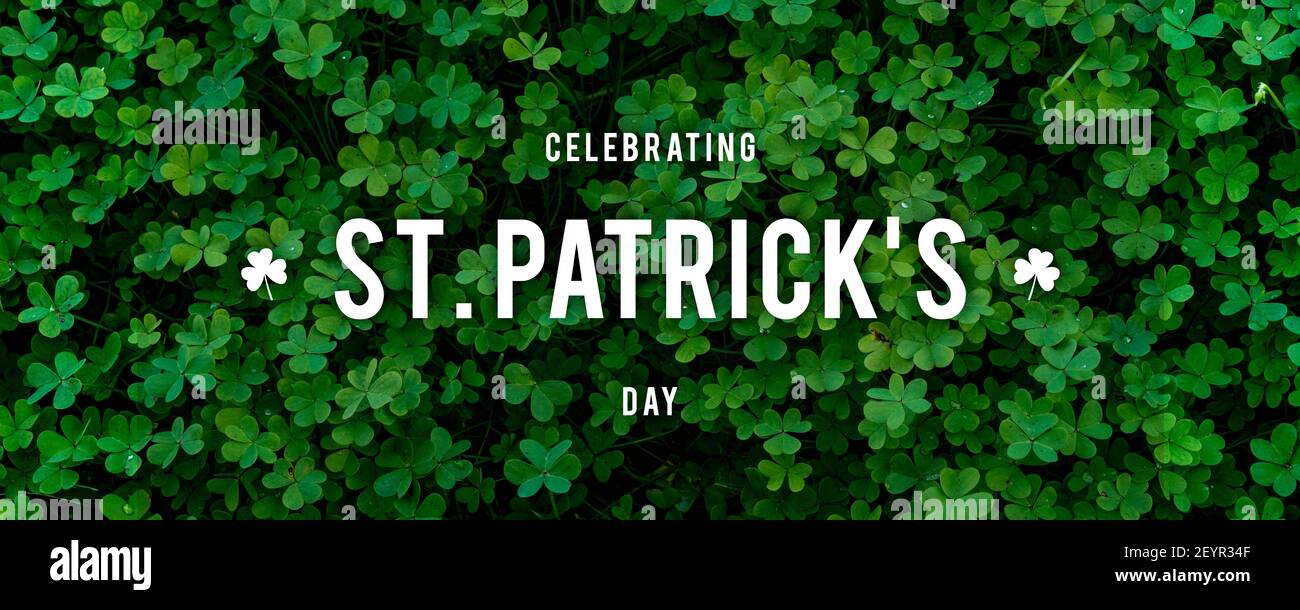 St. Patrick's Day green shamrock holiday background, card, poster or ...