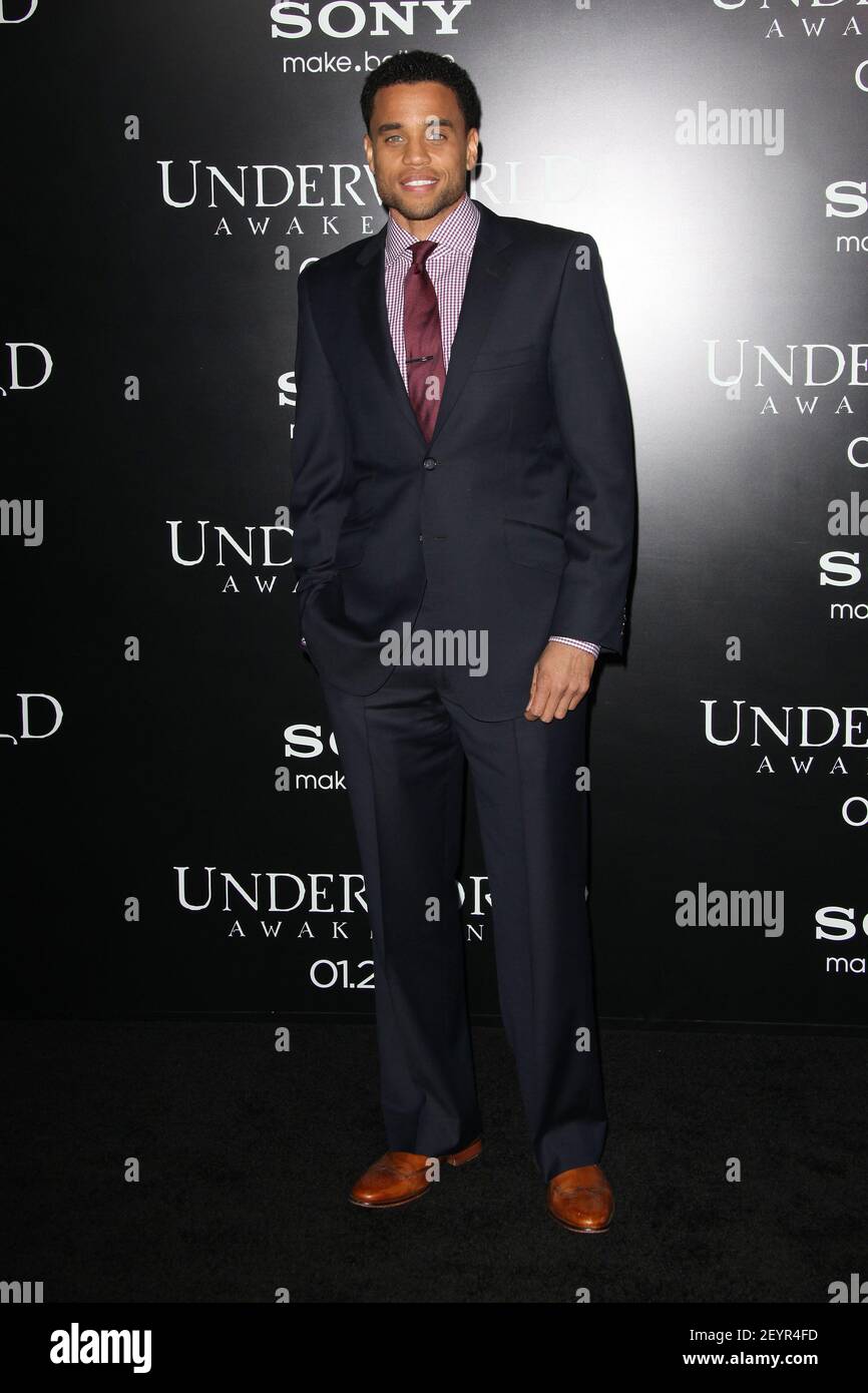 19 January 2011 - Hollywood, CA - Michael Ealy arrives to the premiere ...