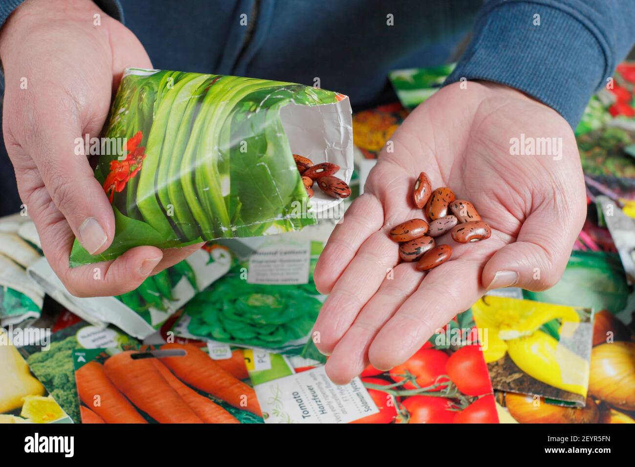 Runner bean seeds packet hi-res stock photography and images - Alamy