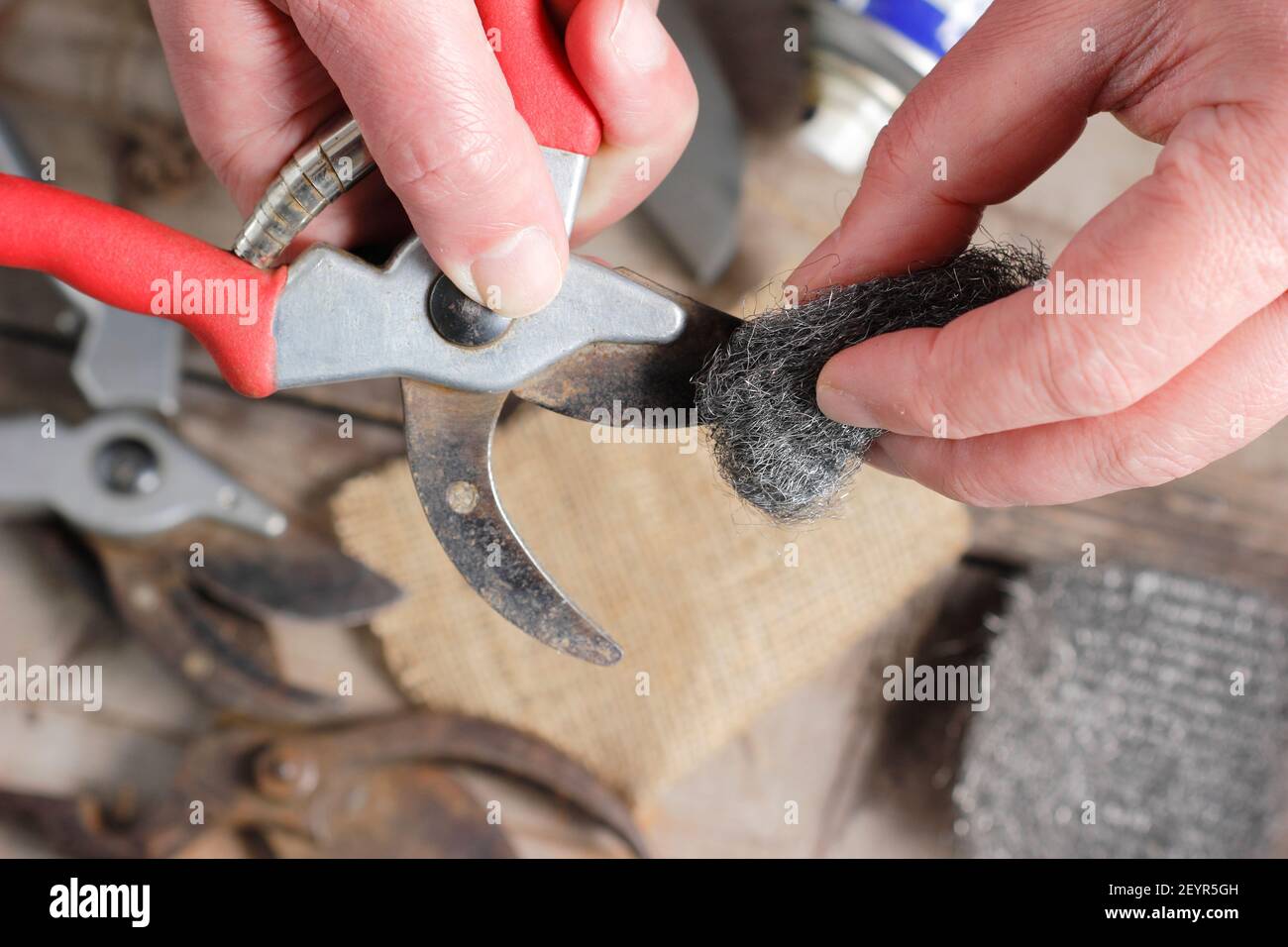 Secateur hi-res stock photography and images - Alamy