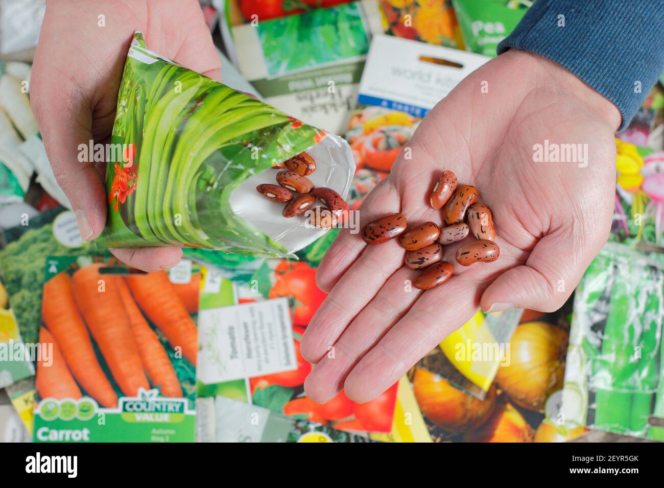 Checking vegetable seed packets ahead of growing season. Pictured ...