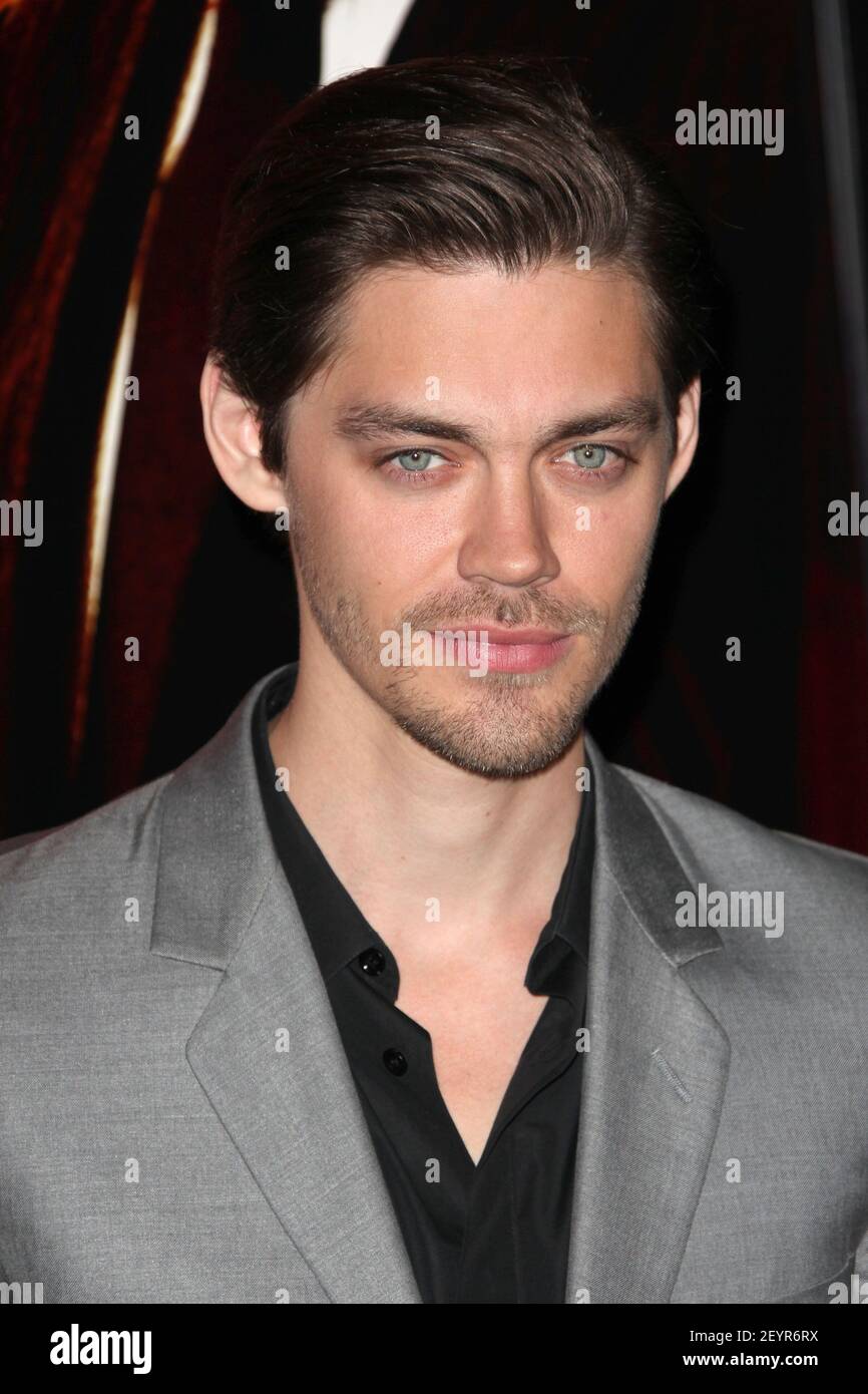 25 January 2011 - Hollywood, CA - Tom Payne arrives to the premiere of ...