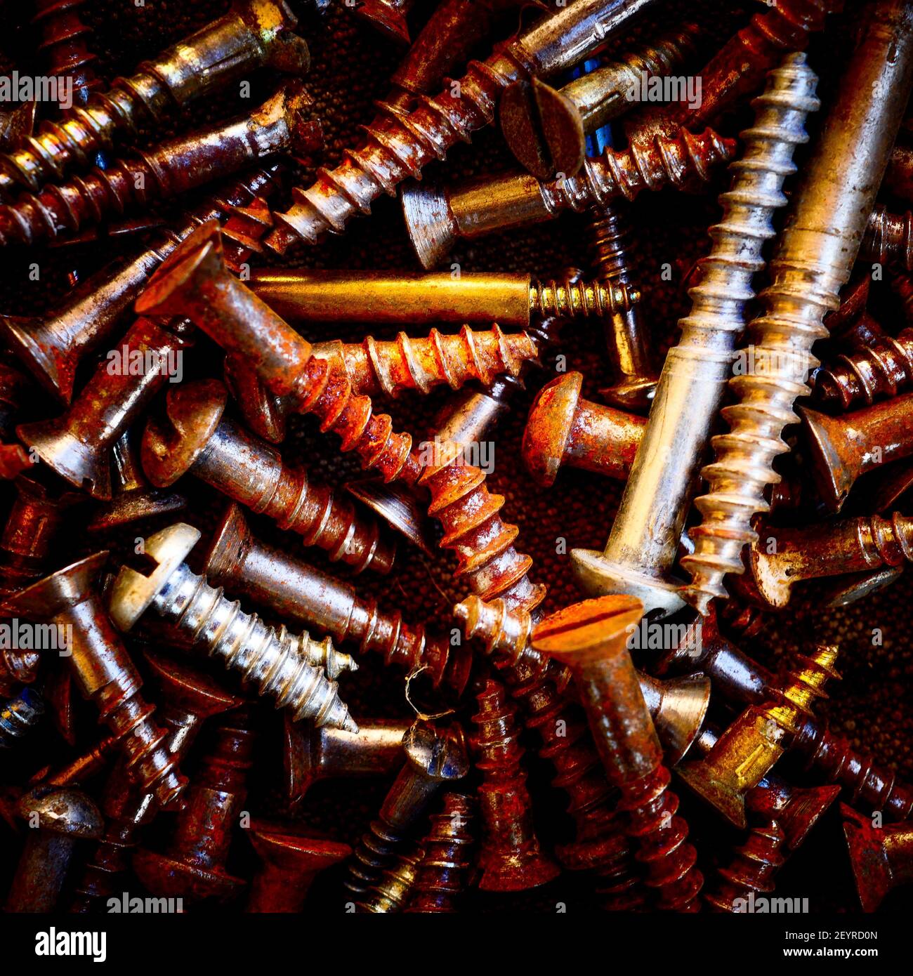 Old rusted screw, France Stock Photo - Alamy
