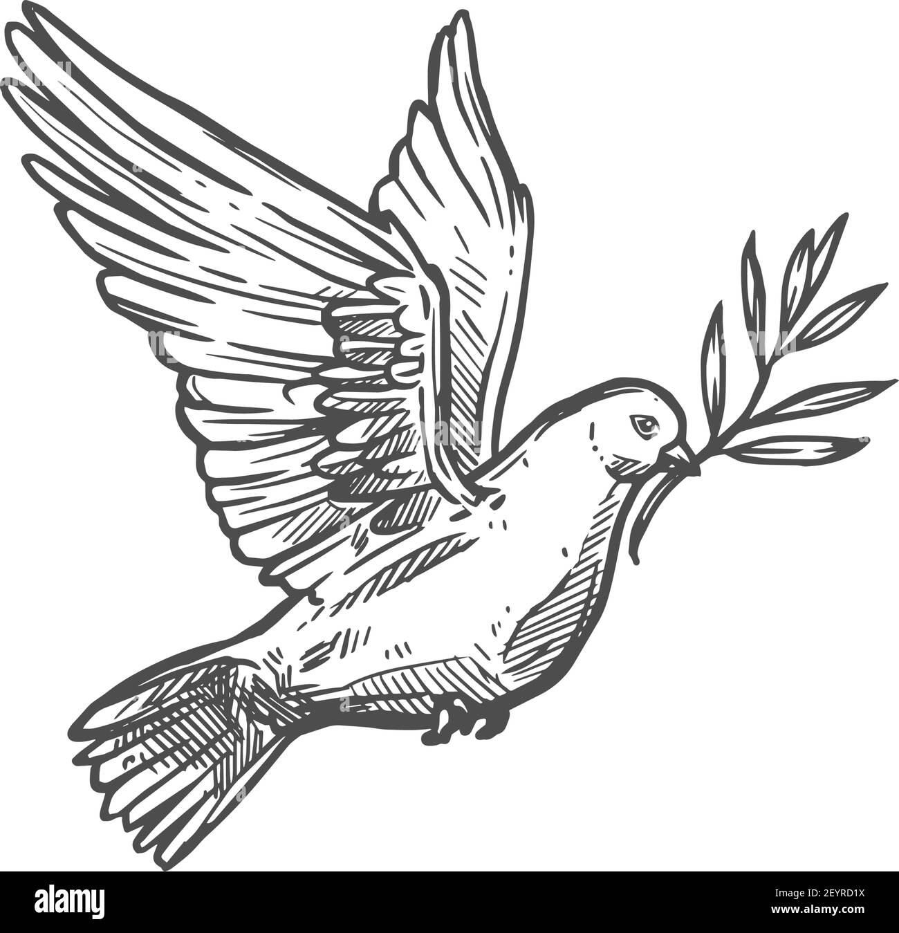Dove flying with olive branch. Vector dove pigeon, Easter religious sketch icon Stock Vector ...