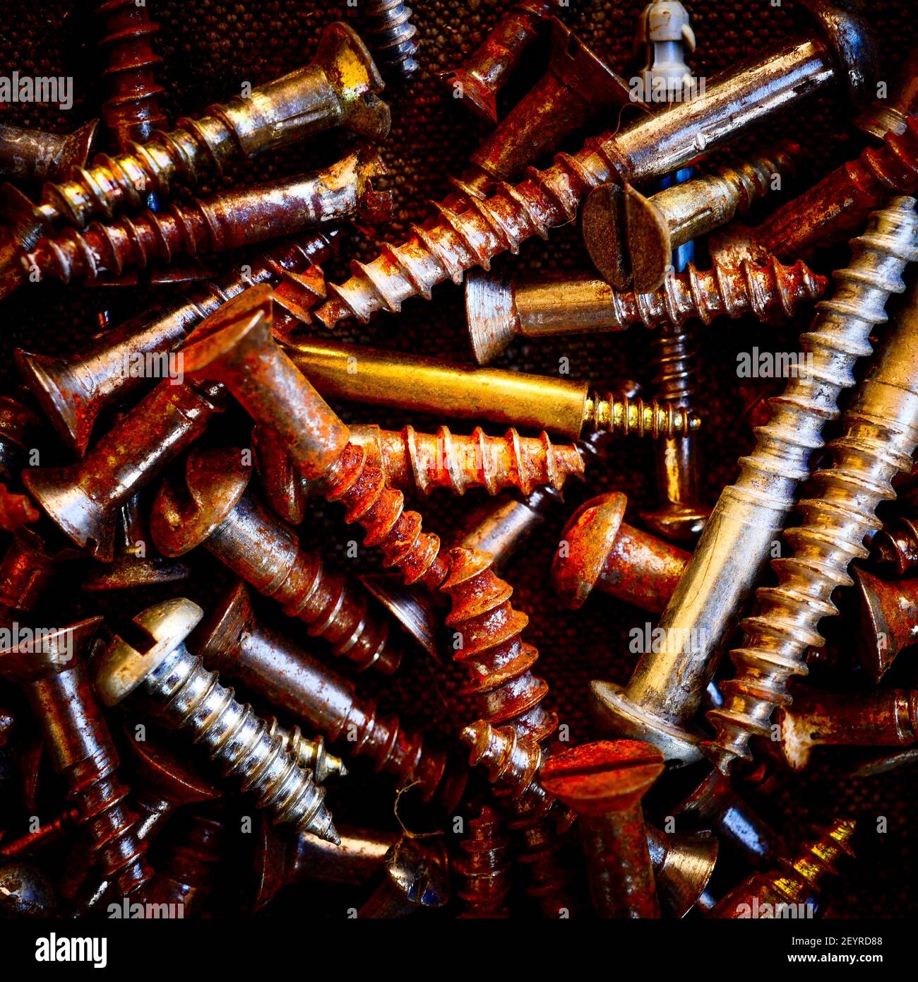 Old rusted screw, France Stock Photo - Alamy