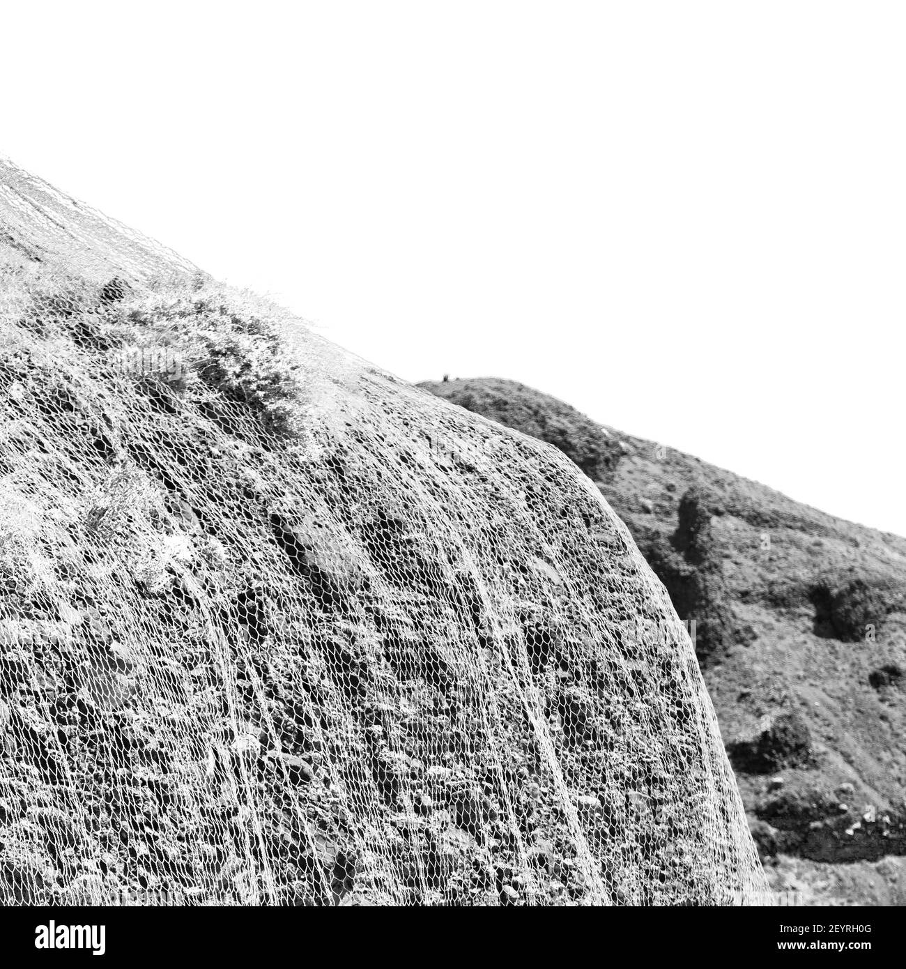 Rock alone in the net bush Stock Photo - Alamy