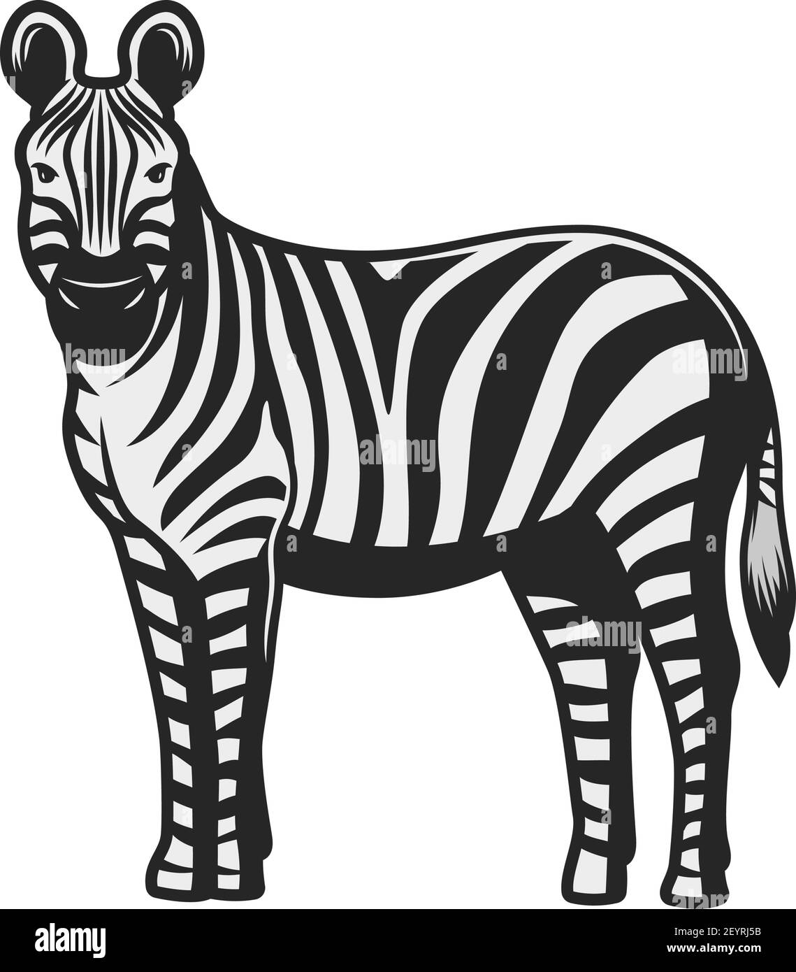 Zebra wild animal icon. Vector African zebra, safari hunt and zoo ...