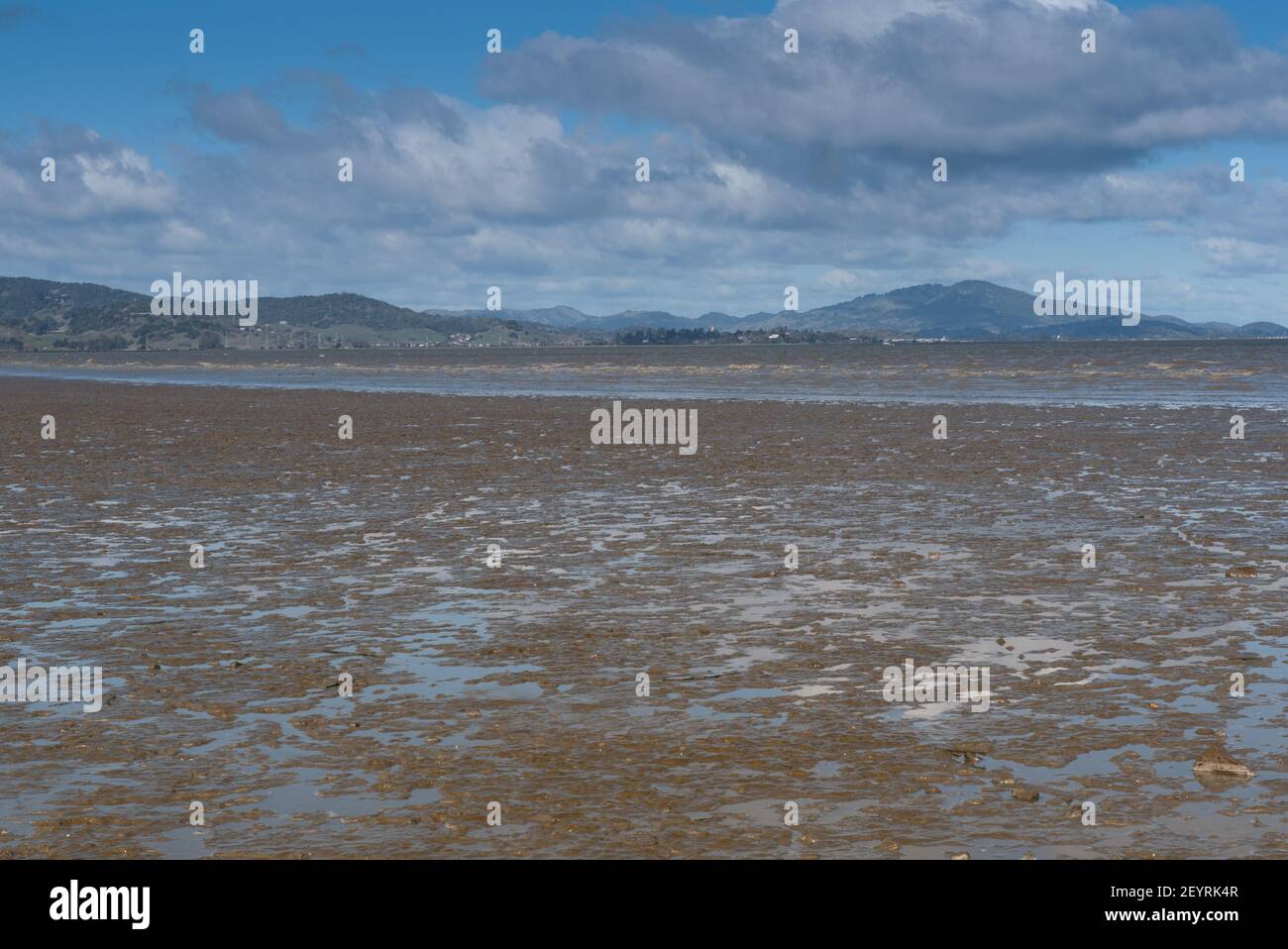 Salt Marsh at China Camp State Park, California, USA, on a blue sky and ...