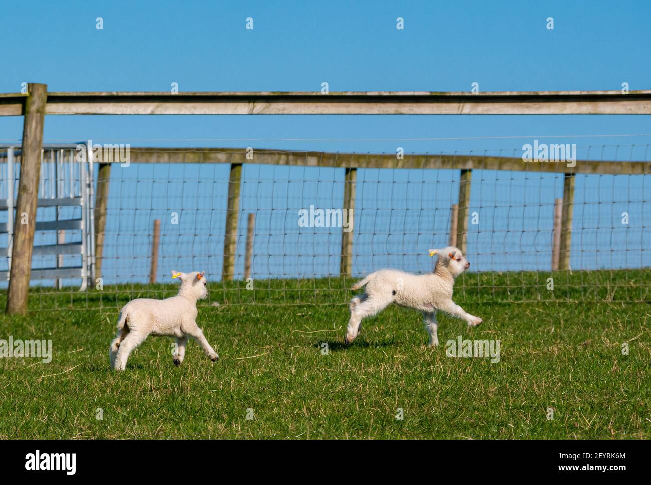 East Lothian, Scotland, United Kingdom, 6th March 2021. UK Weather ...