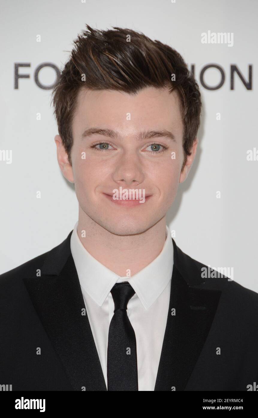 Chris Colfer - 26 February 2012, Los Angeles, CA - the 20th Annual Elton John AIDS Foundation ...