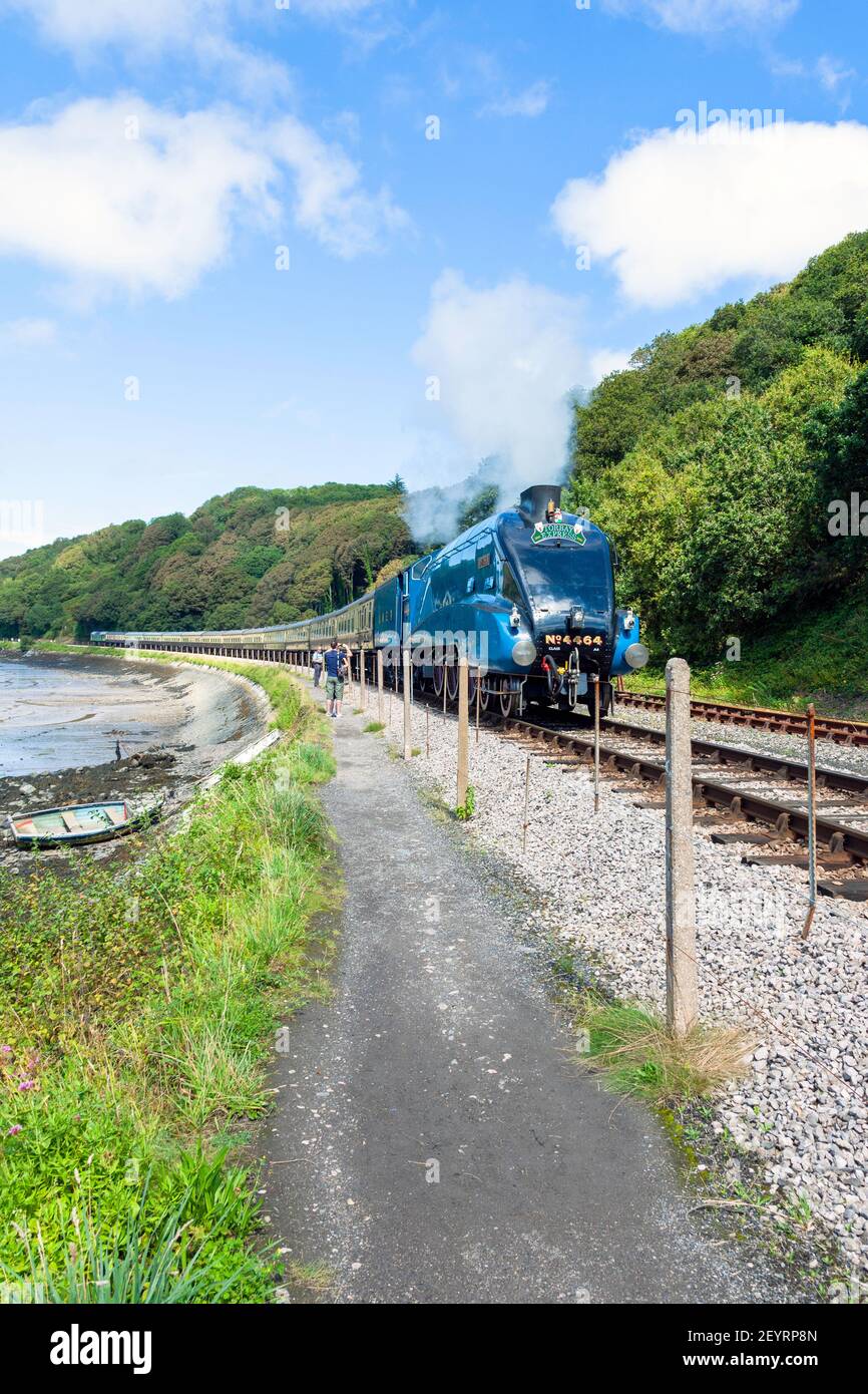Train trains steam locomotive bittern hi-res stock photography and ...