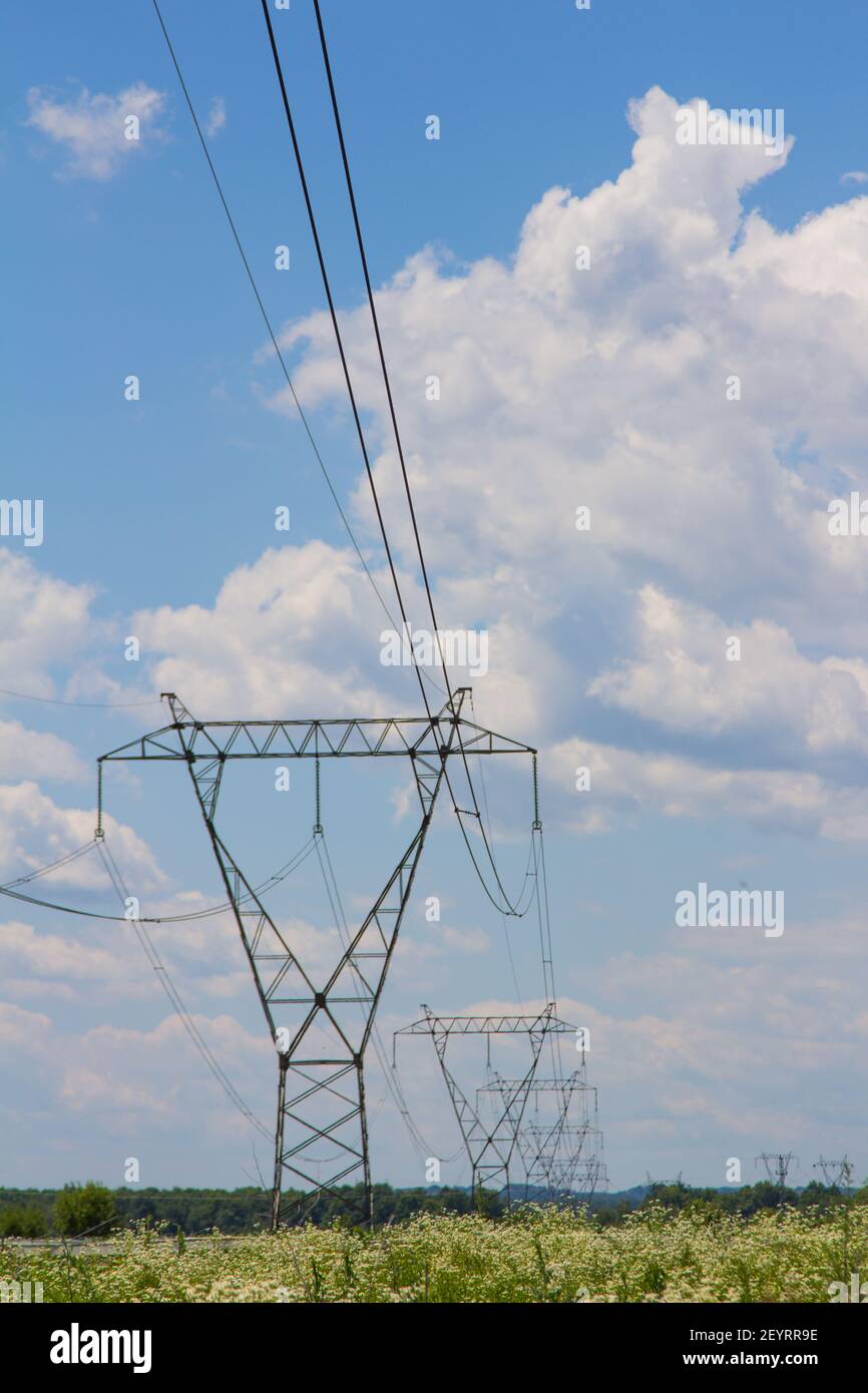 High-voltage electric power transmission lines in a field Stock Photo ...
