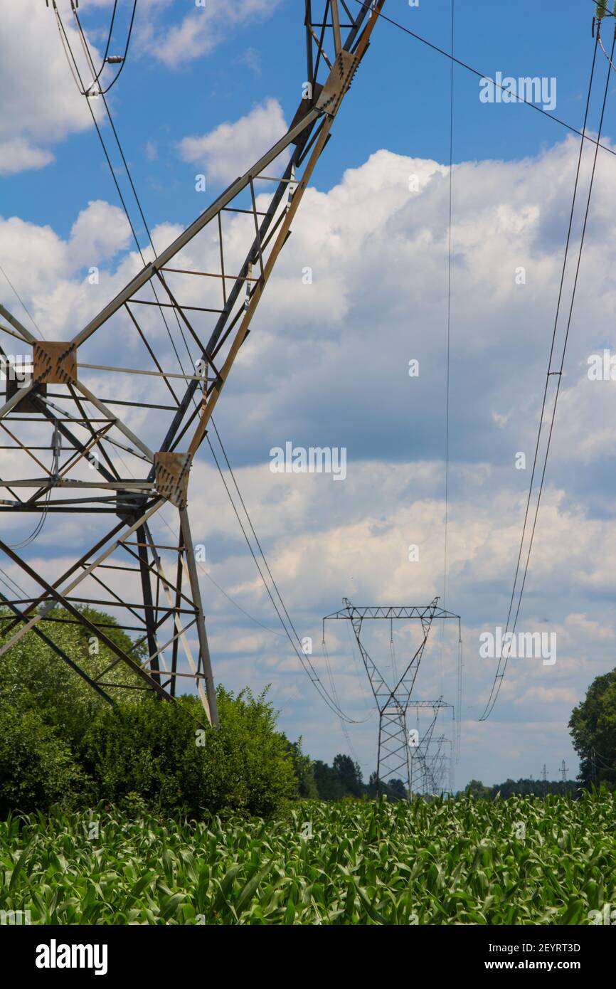 High-voltage electric power transmission lines in a field Stock Photo ...