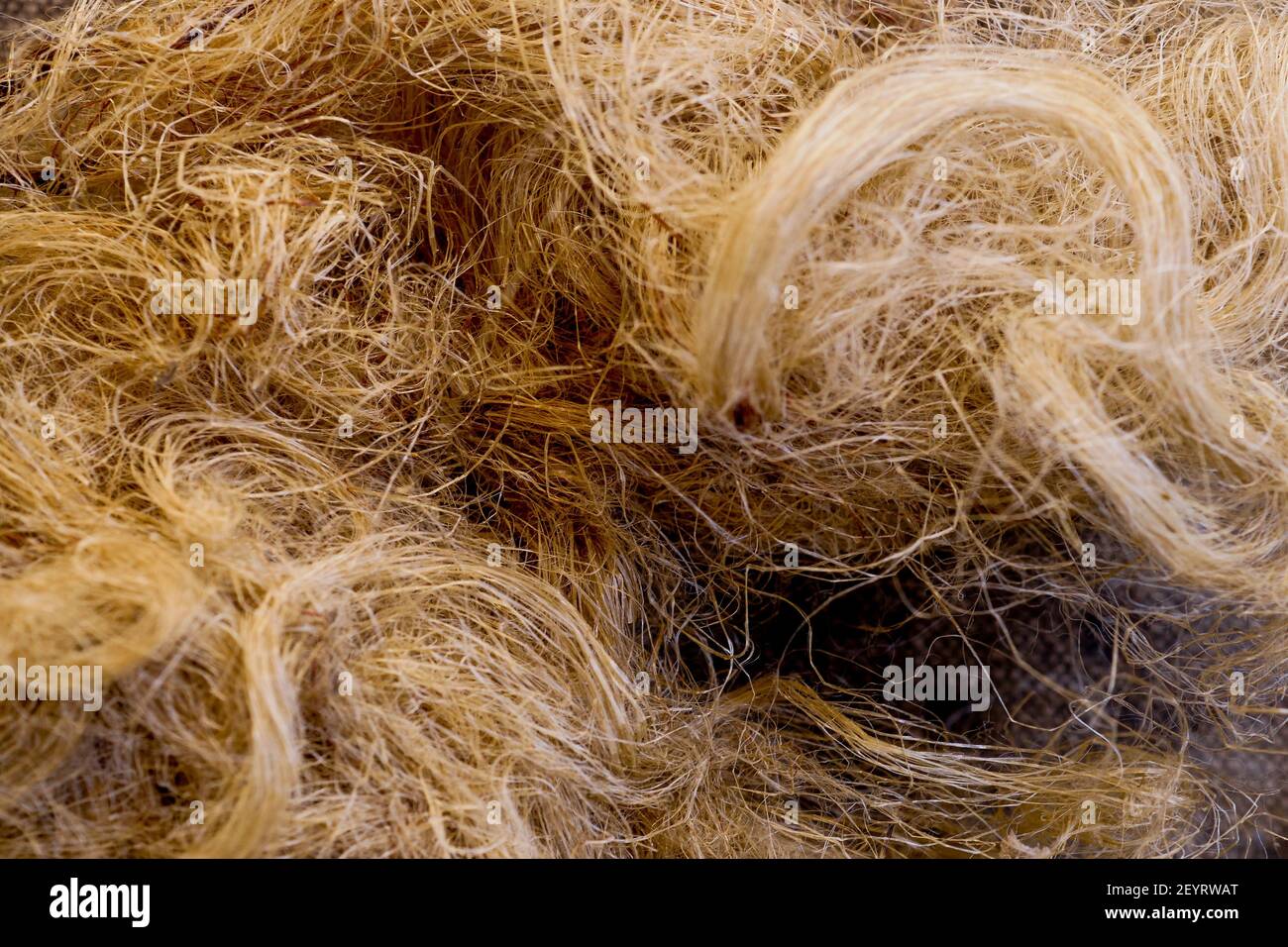 Plumbing accessory: Hemp joint, France Stock Photo - Alamy