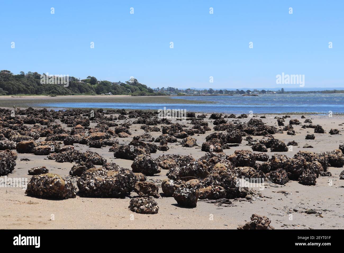Culburra beach hi-res stock photography and images - Alamy