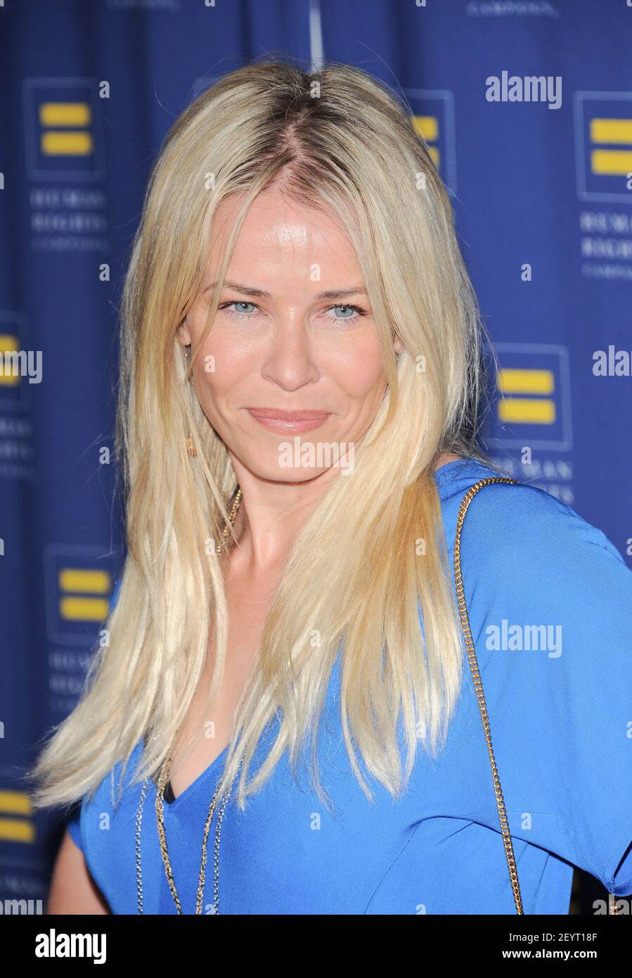 Chelsea Handler. 17 March 2012, Los Angeles, California. The Human ...