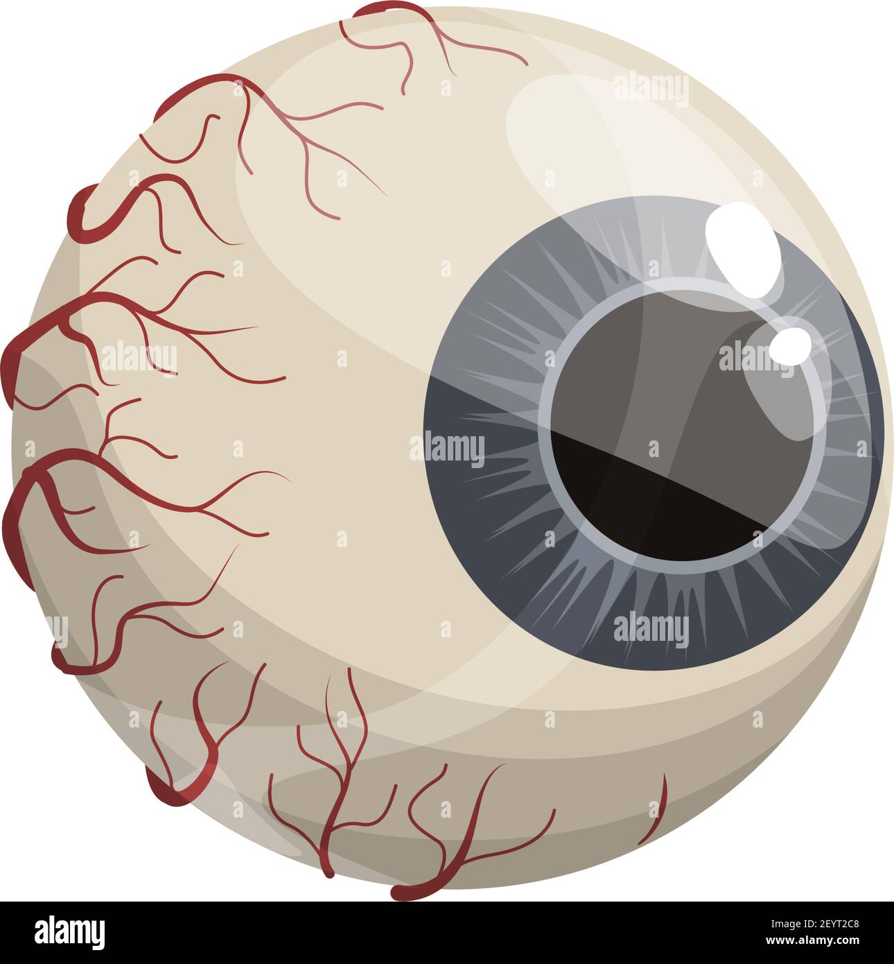 Blue iris Stock Vector Images - Alamy