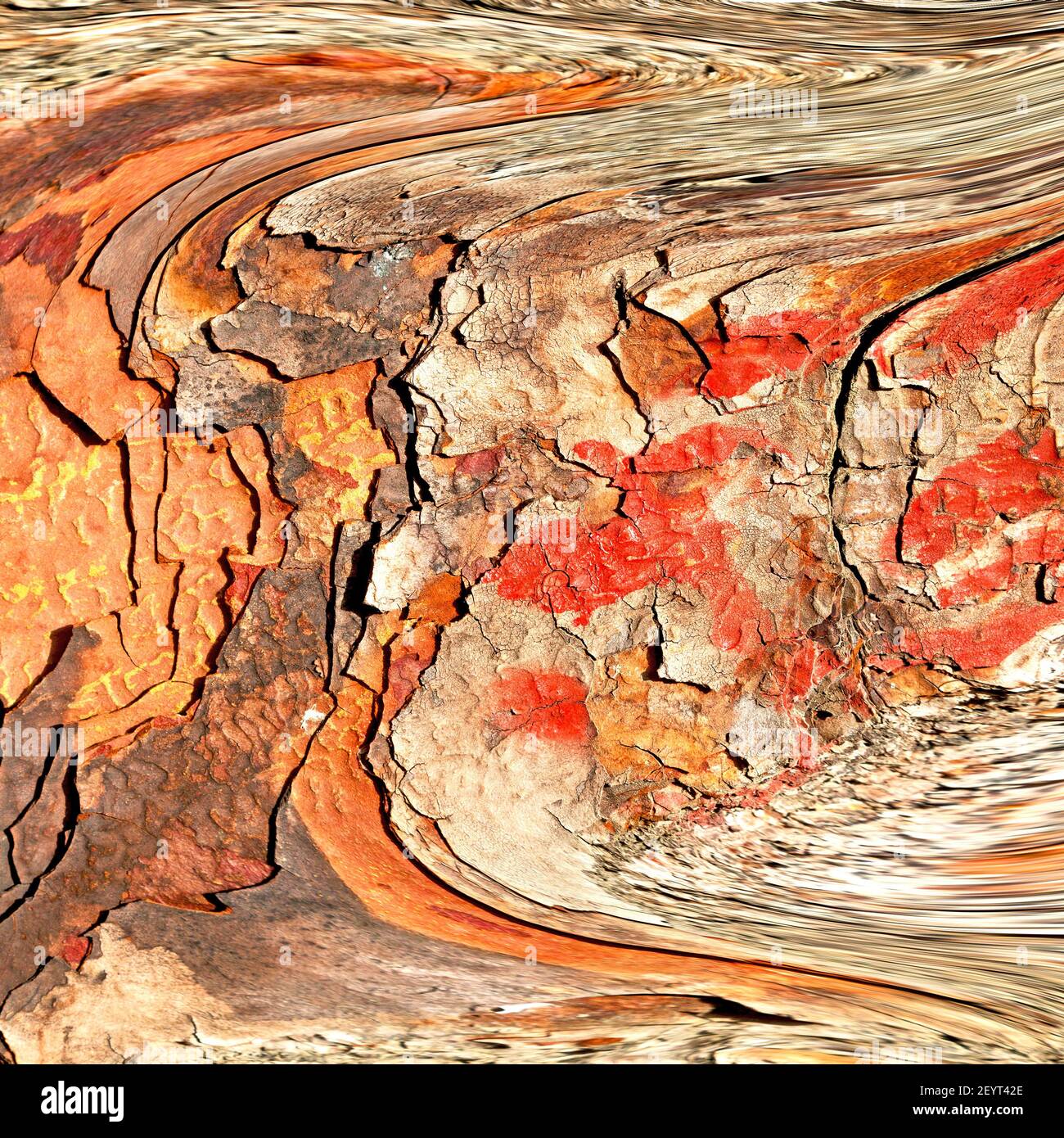 Barck in the abstract close up of a tree color and texture Stock Photo ...