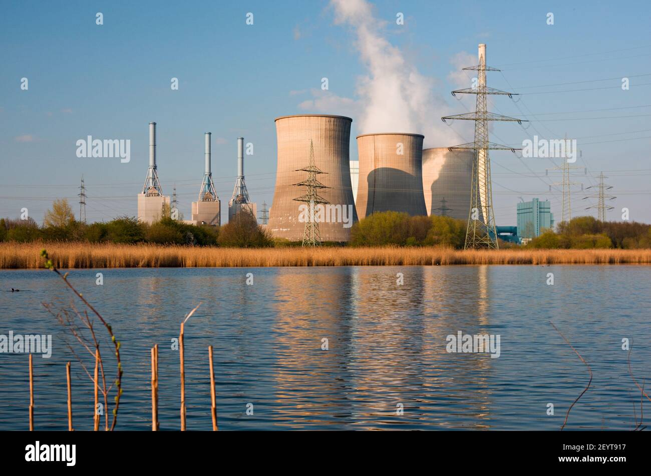 Disturbing nature hi-res stock photography and images - Alamy