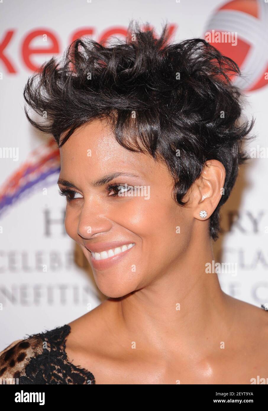 Halle Berry. 14 April 2012, Beverly Hills, California. 2012 Silver Rose ...