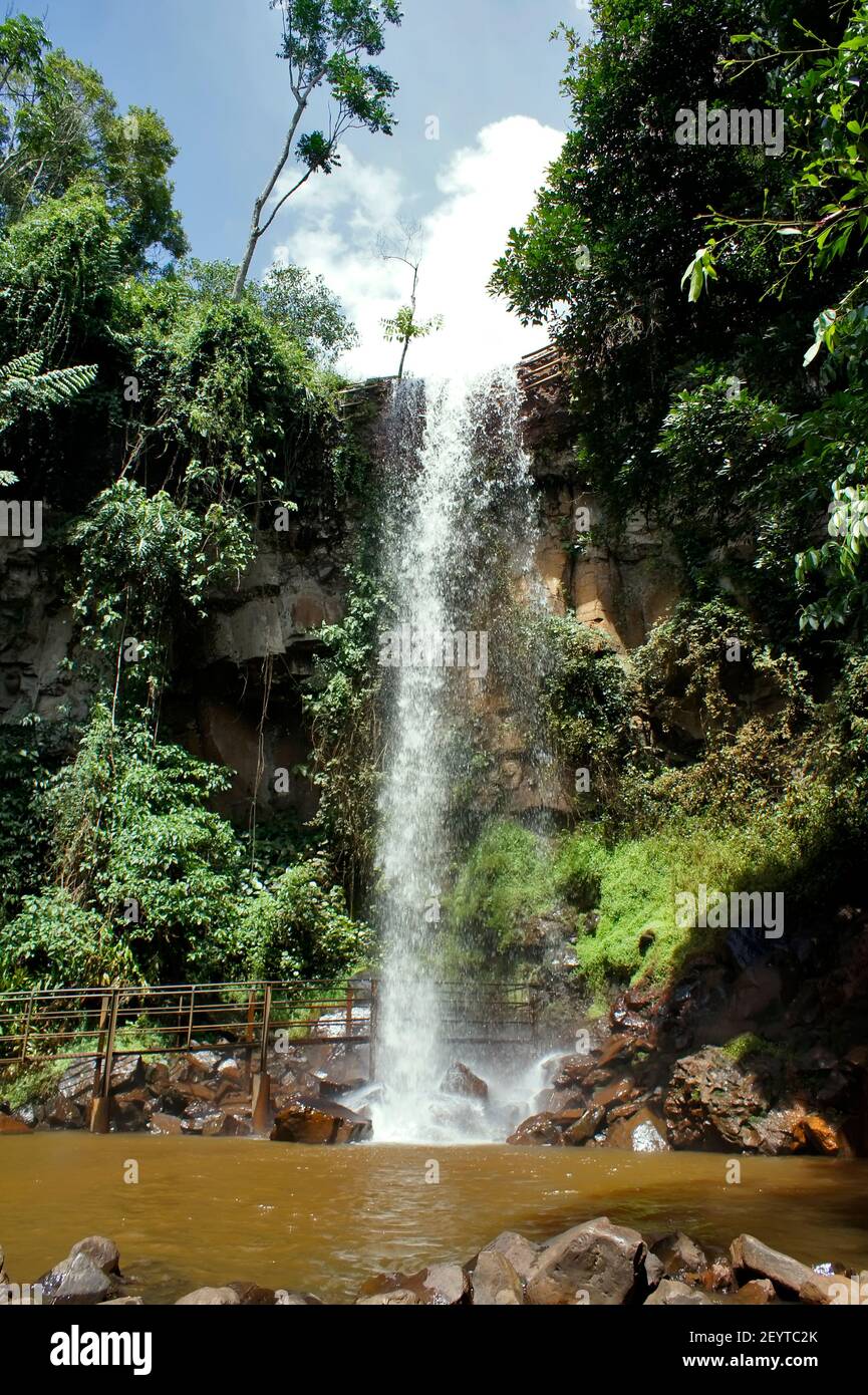 Rainforest brazil people wild hi-res stock photography and images - Alamy