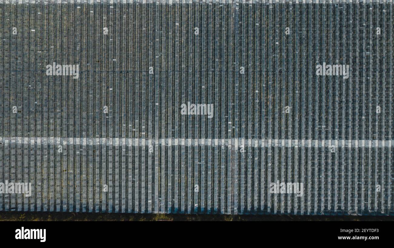Aerial top view of greenhouse plant. Agronomy, year-round climate ...
