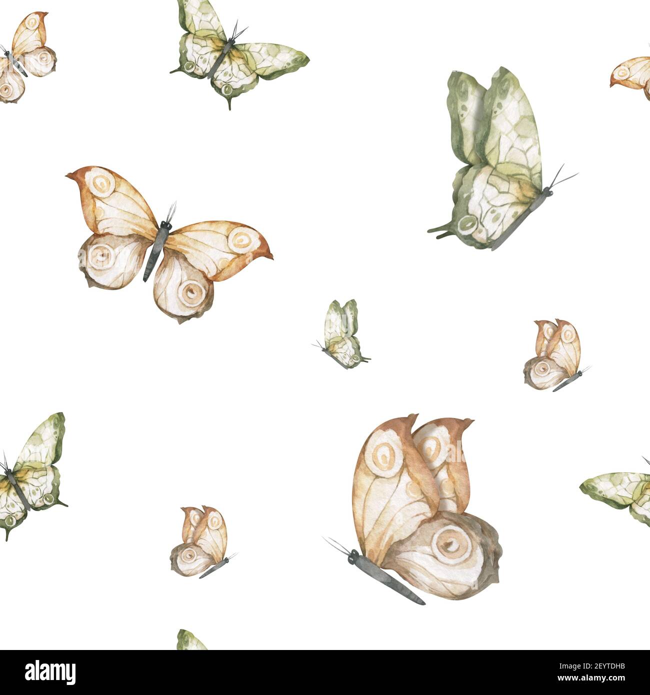 Set of watercolor butterflies, illustration. Collection of hand drawing ...