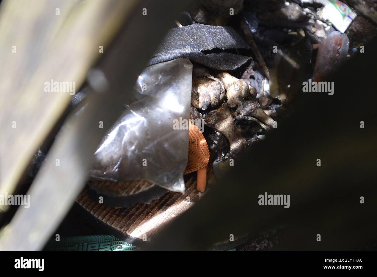 15 May 2012 - Bali - The skeletal remains of a decomposing foot peaks ...