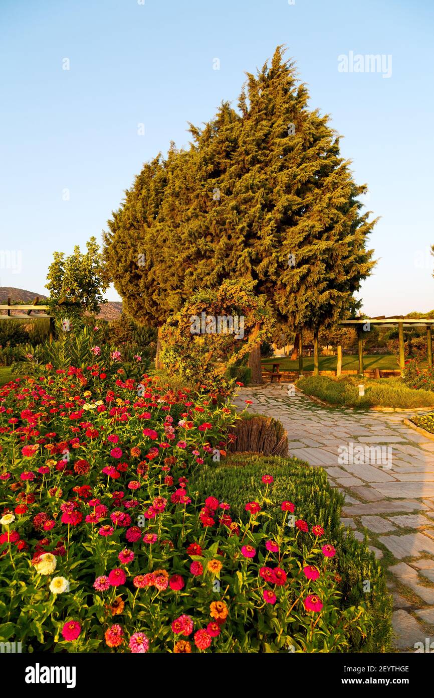 Old colors garden Stock Photo - Alamy