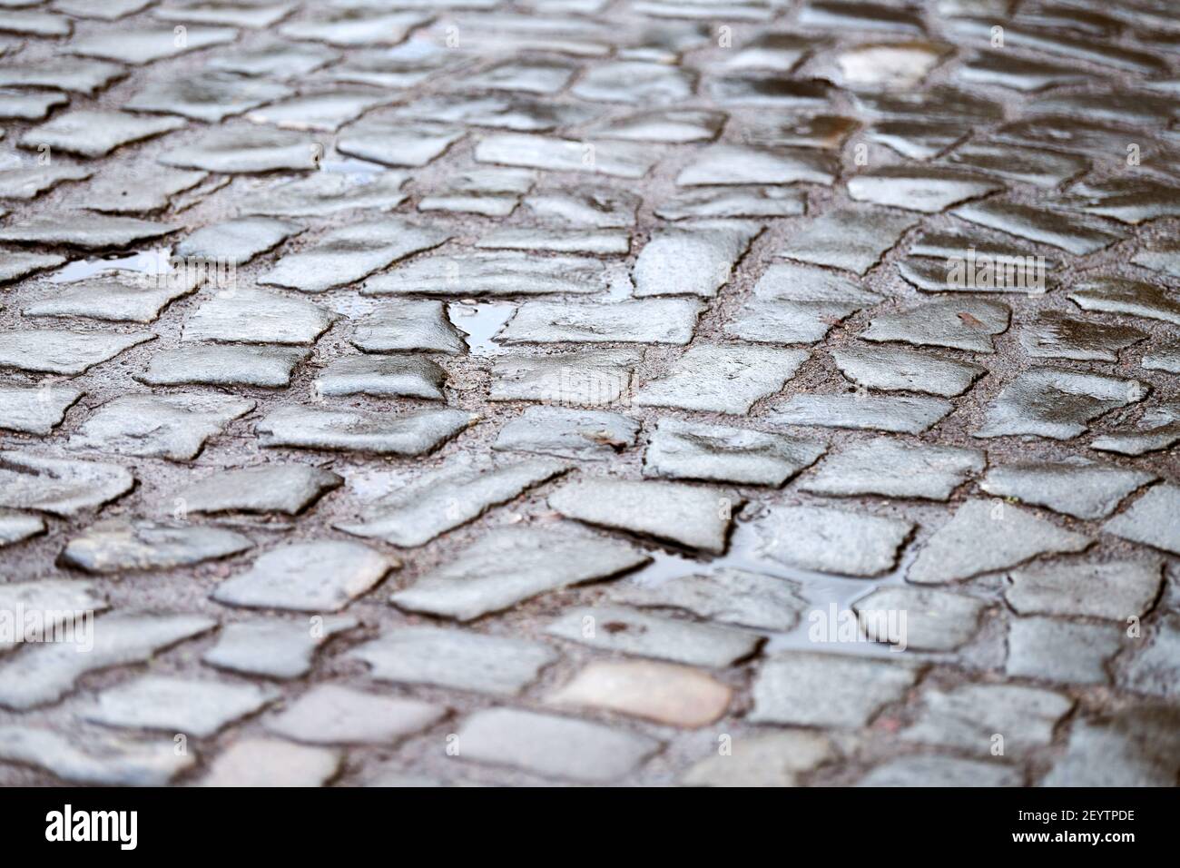 Paving stones at city street. Old german pavement stones texture ...