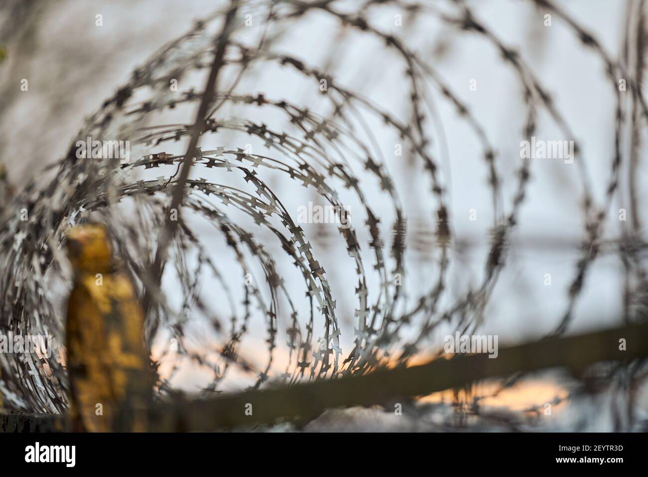 Barbed wire on fence of restricted area. No unauthorized entry. Old ...