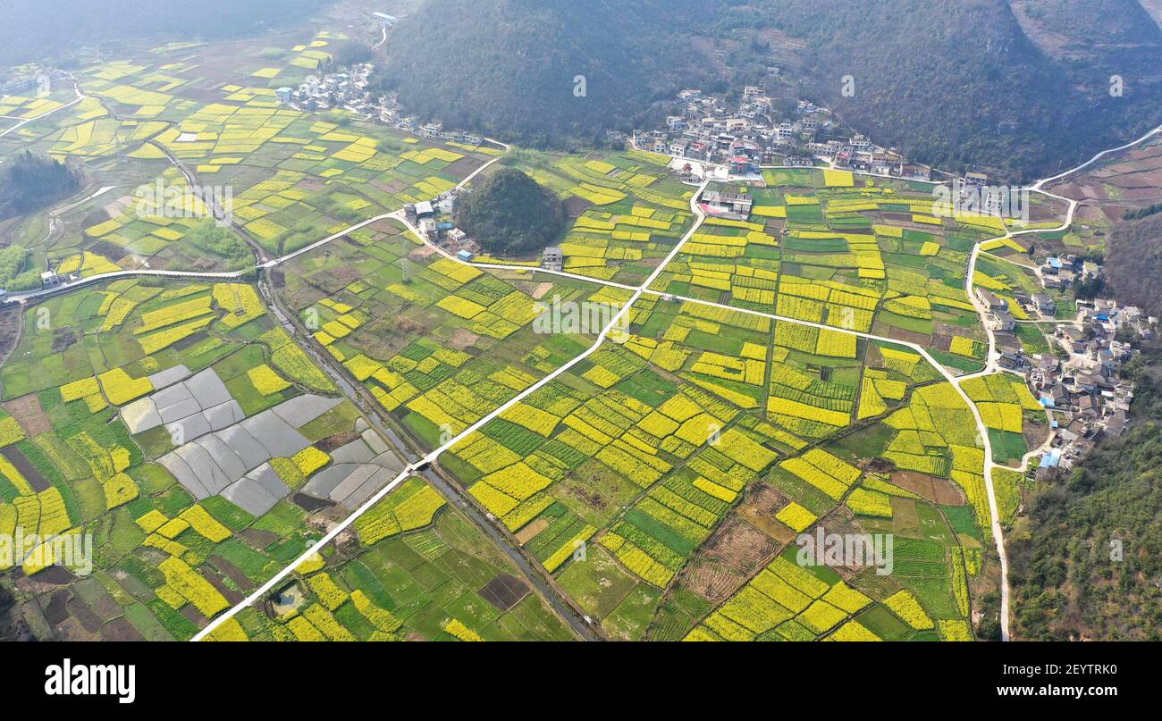 Anlong, China. 06th Mar, 2021. ANLONG, CHINA - MARCH 6, 2021 - Photo ...