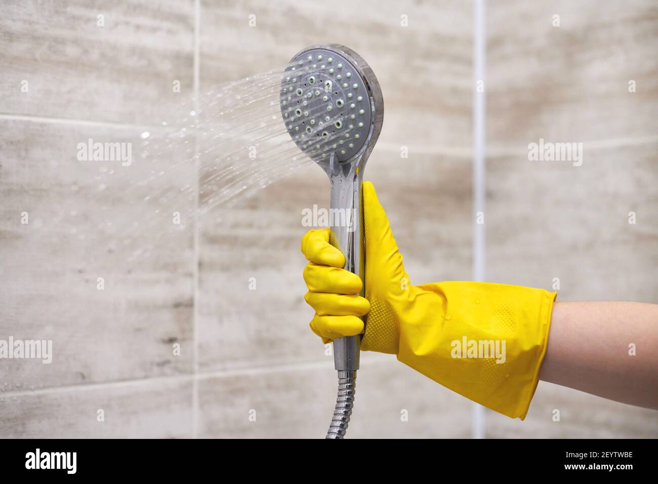Female hand in protective rubber glove holding shower head with pouring ...