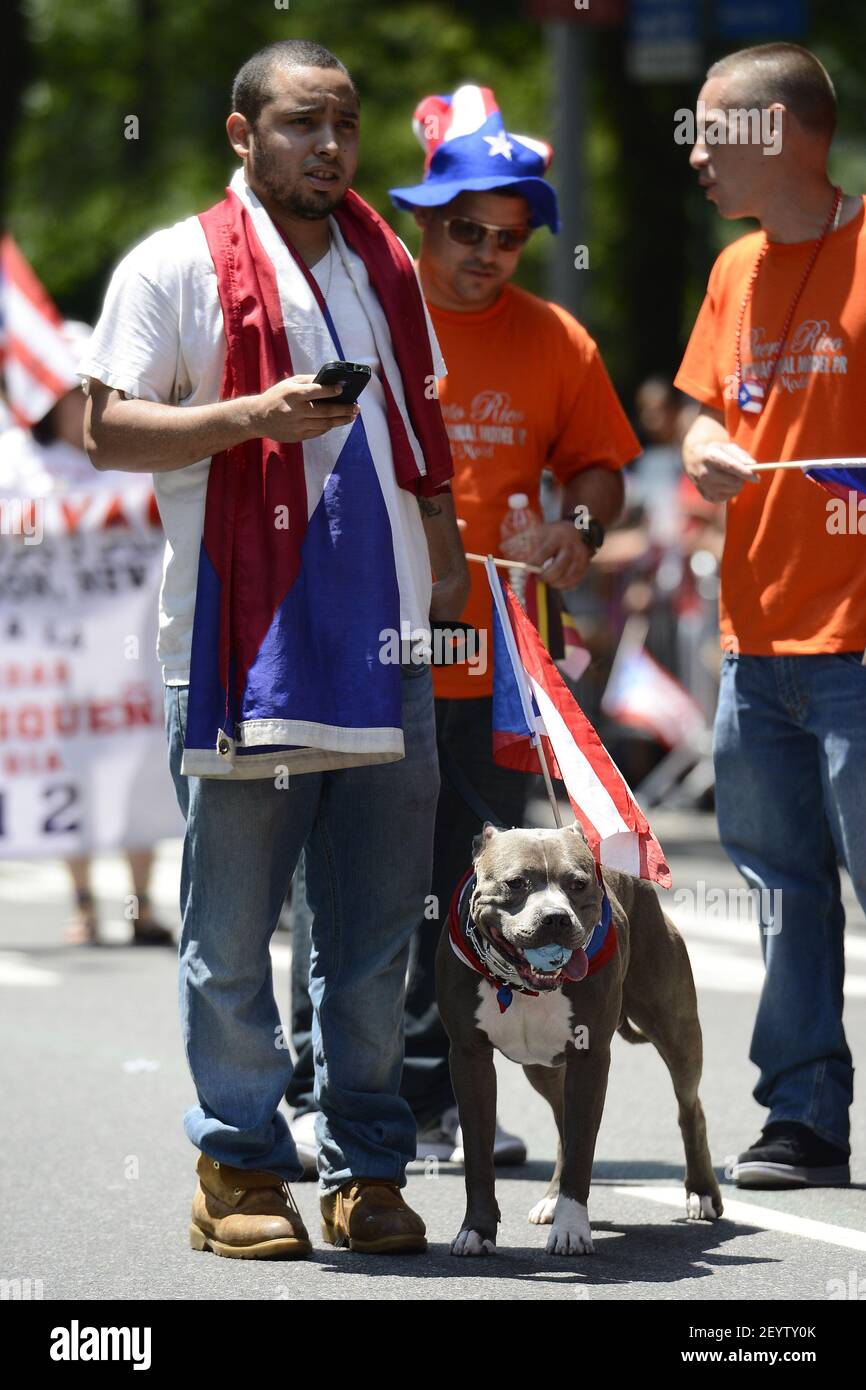 Is Pitbull Puerto Rican