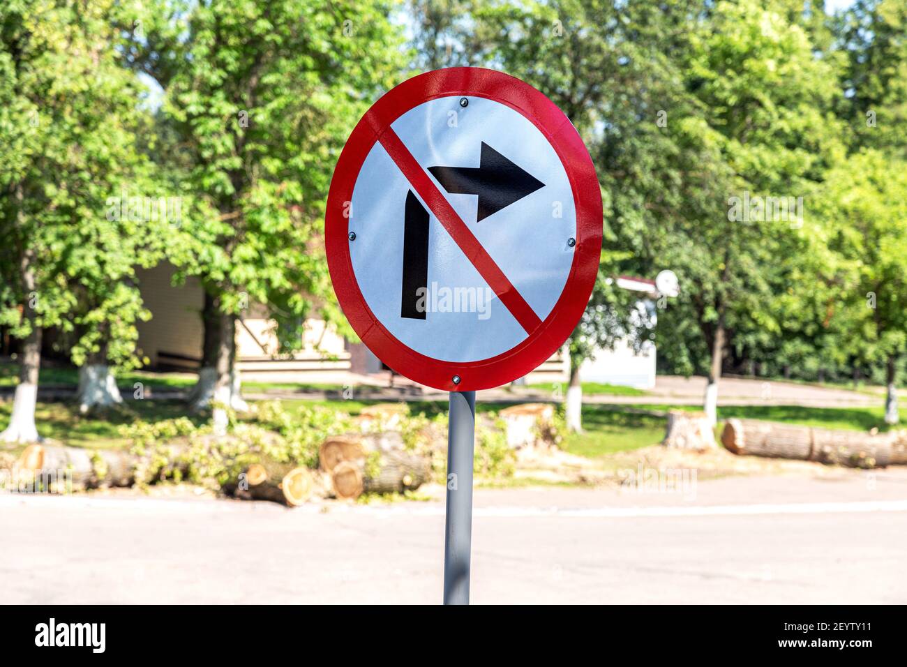 Road sign No right turn close up Stock Photo - Alamy
