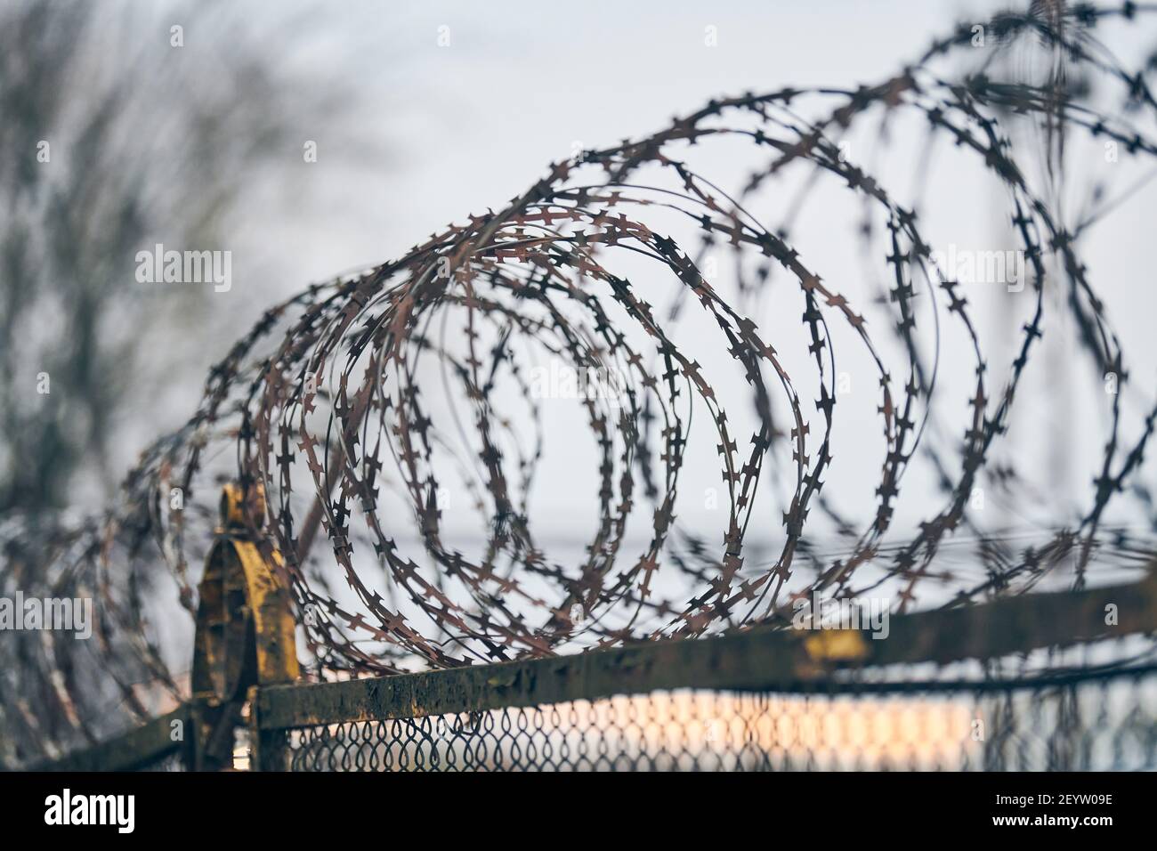 Barbed wire on fence of restricted area. No unauthorized entry. Old ...