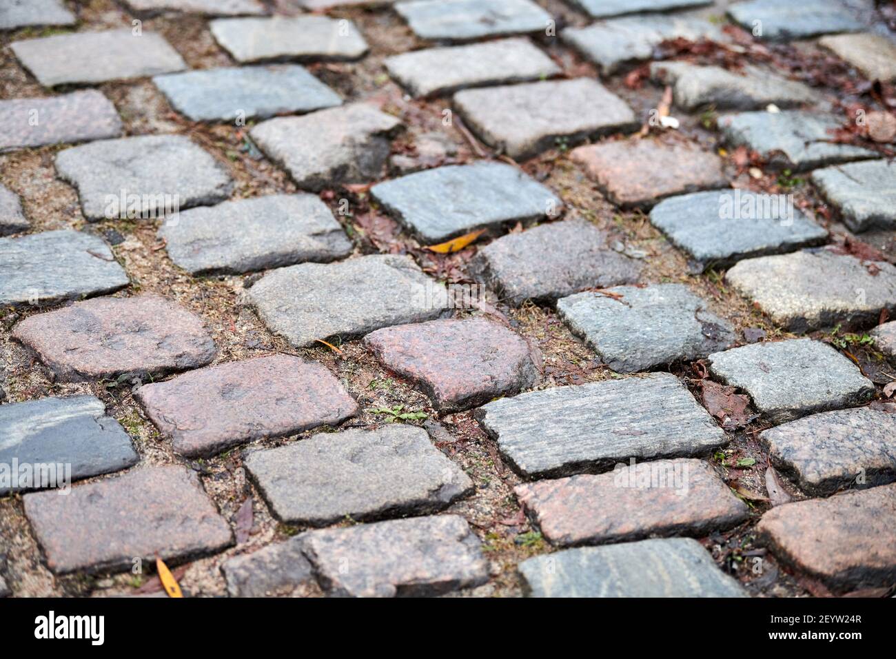 Paving stones at city street. Old german pavement stones texture ...