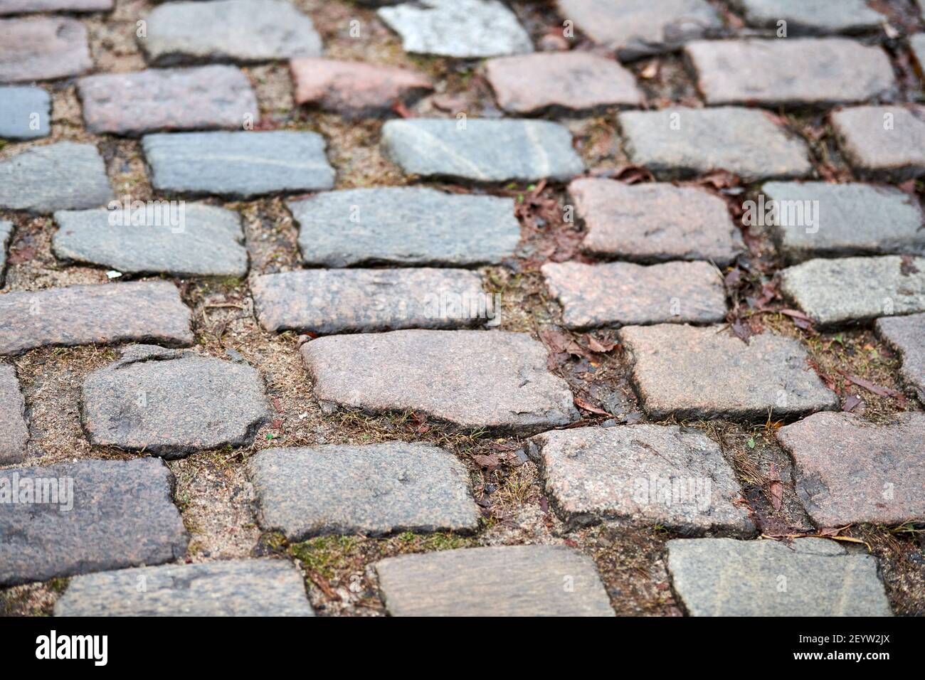 Paving stones at city street. Old german pavement stones texture ...