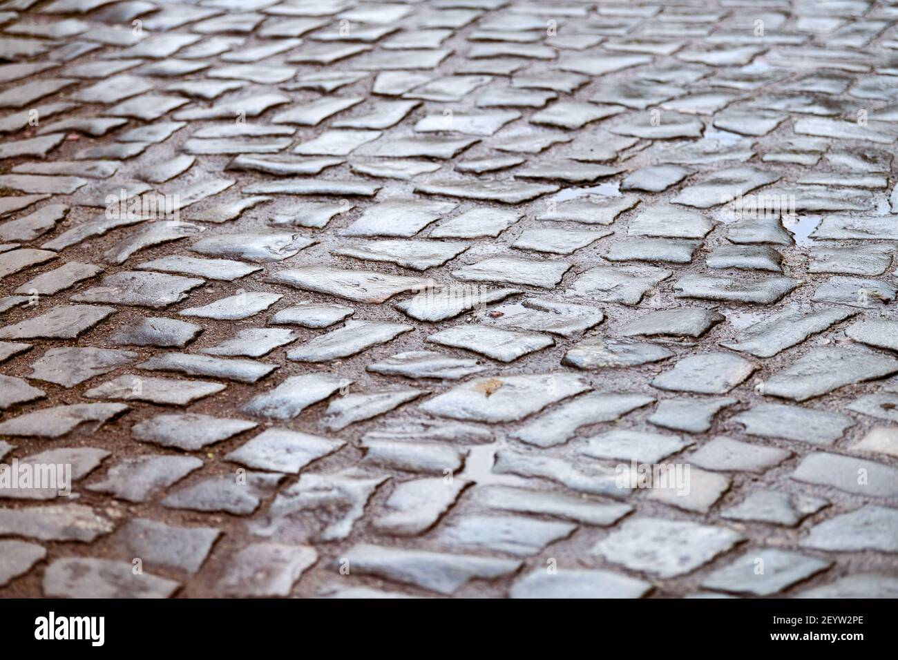 Paving stones at city street. Old german pavement stones texture ...